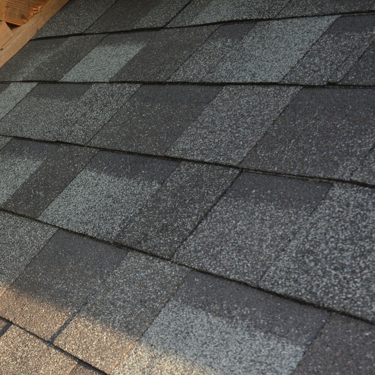 6 Pros and Cons of Asphalt Shingle Roofing in Boulder